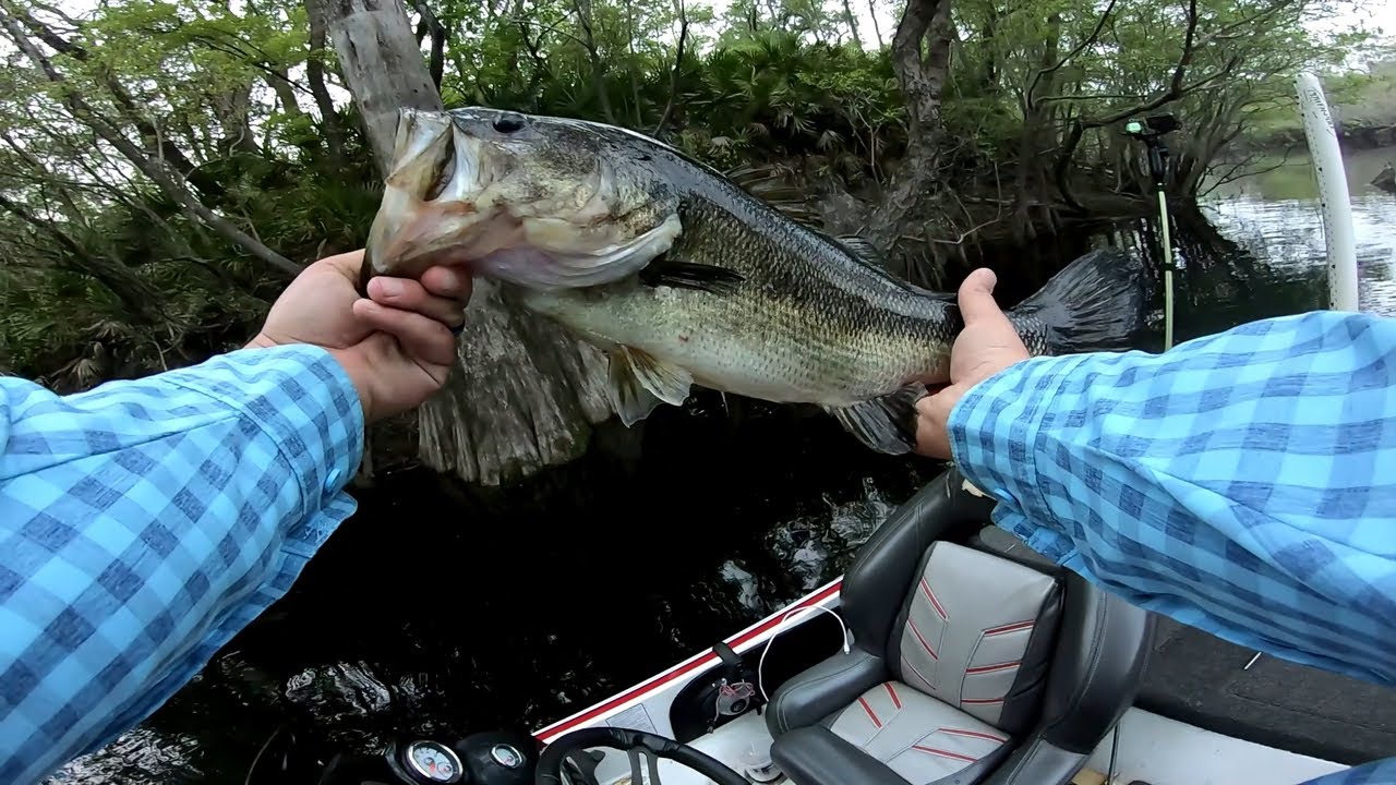 Spring Time Bass Fishing Youtube