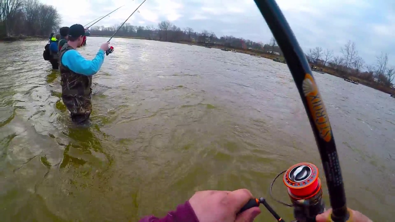 2017 Maumee River Walleye Run Youtube