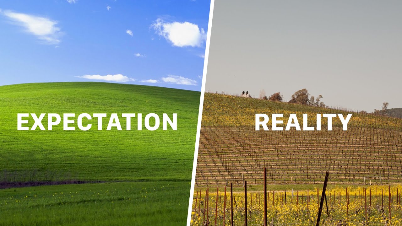 Windows 11 Wallpaper Location In Real Life