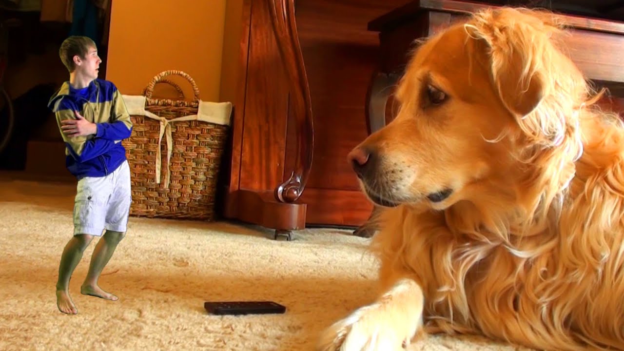 Shrink Ray 2 Giant Dog Encounter Youtube