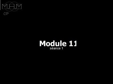 Module 11 Séance 1 Youtube