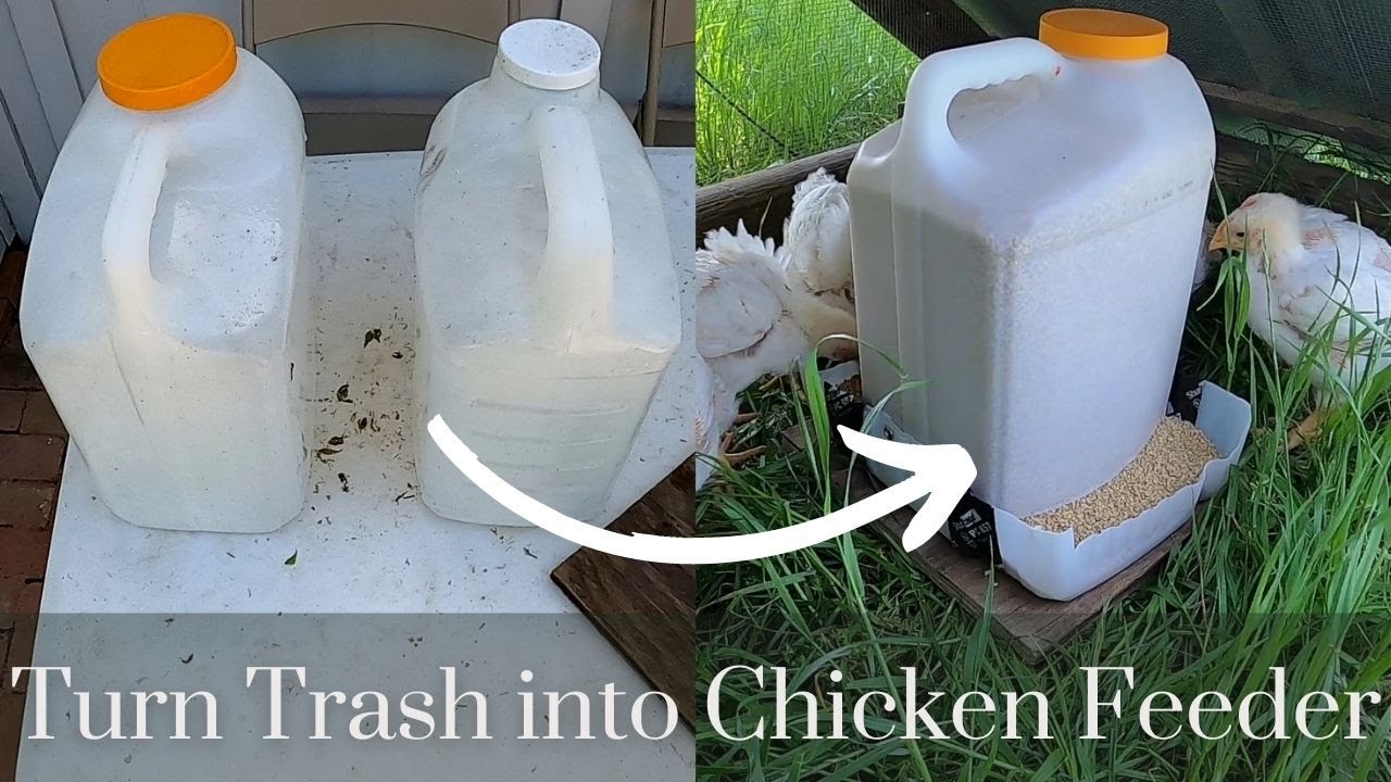 Free Chicken Feeder Make This Diy Gravity Chicken Feeder From Trash