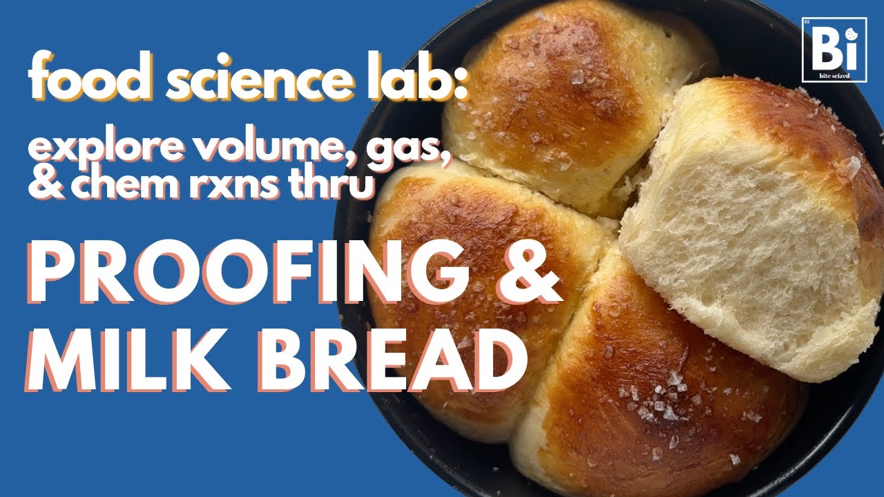 How To Explore Yeast Fermentation Proofing Through Milk Bread Easy