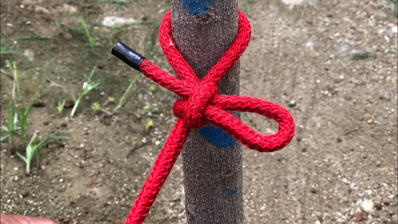 Unbelievable Rope Trick For Knot Tying рџ њ Youtube