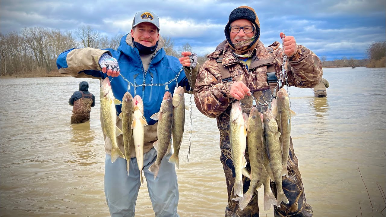 Walleye Fishing From Shore Was A Success Maumee River Walleye Run