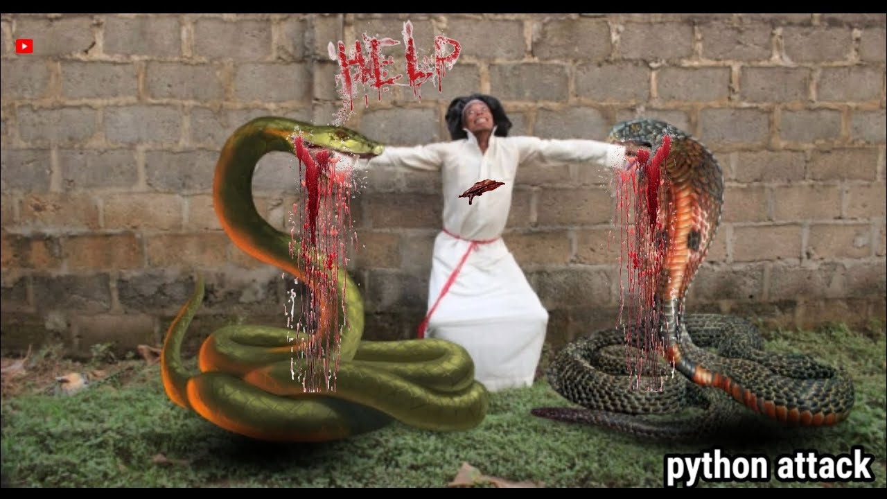 Python Attack 亞 Youtube
