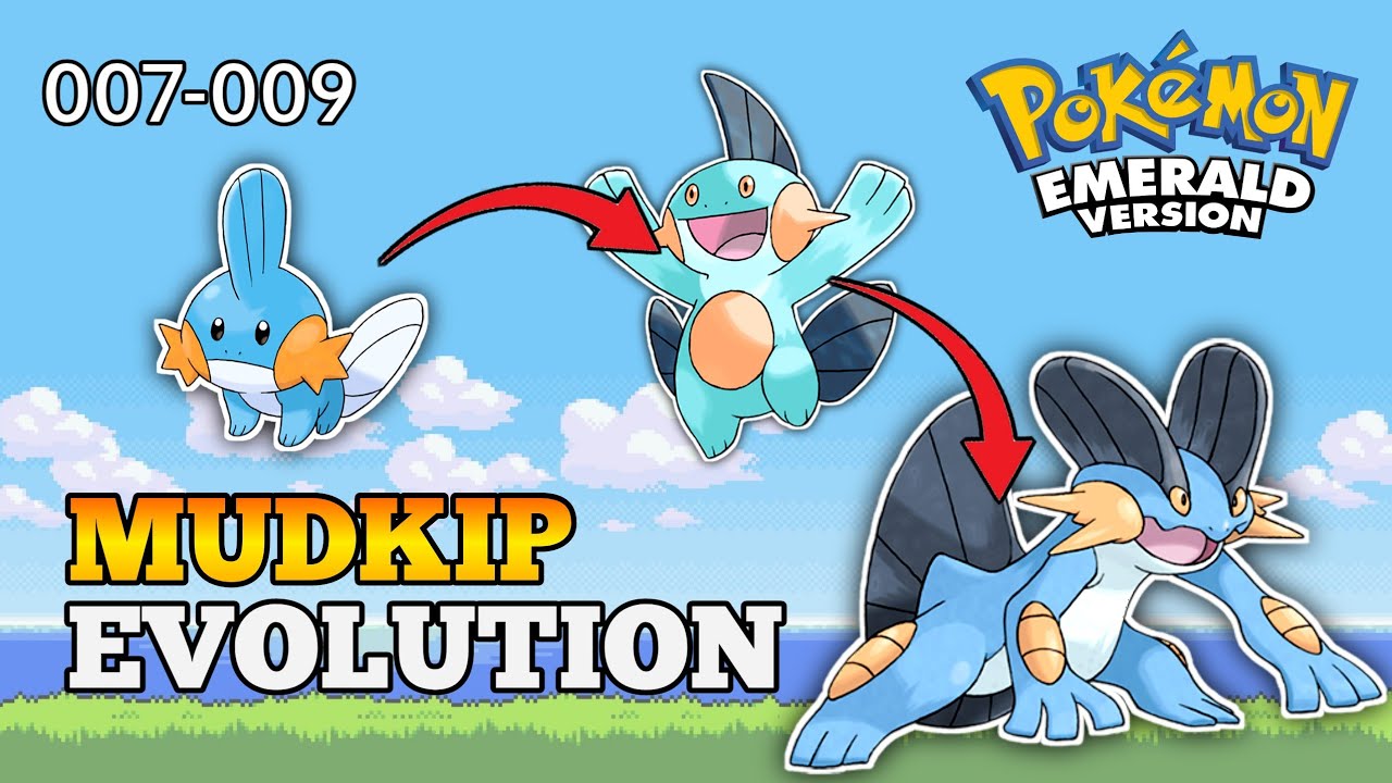 Pokemon Marshtomp Evolution