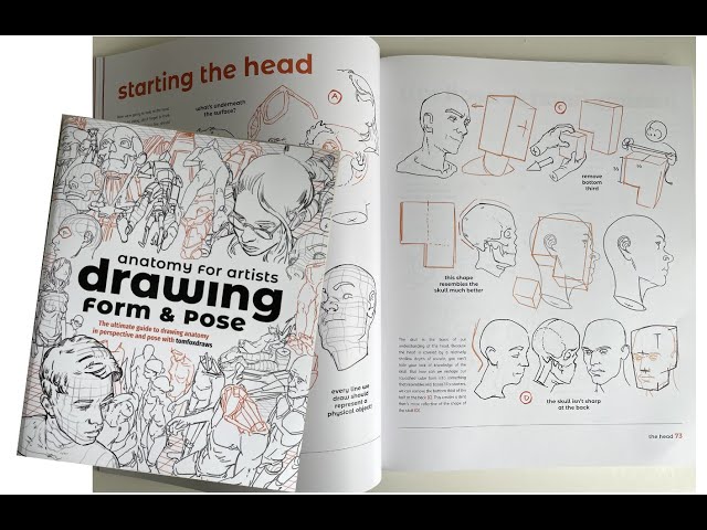 Anatomy For Artists Drawing Form And Pose Now In Seoul 46 Off