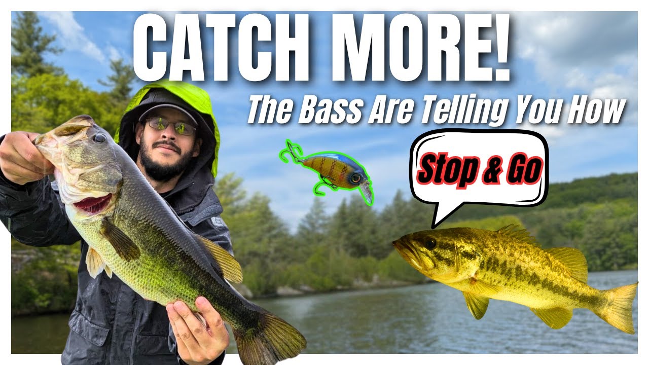 Catch More Bass When This Happens Pond Bass Fishing Youtube