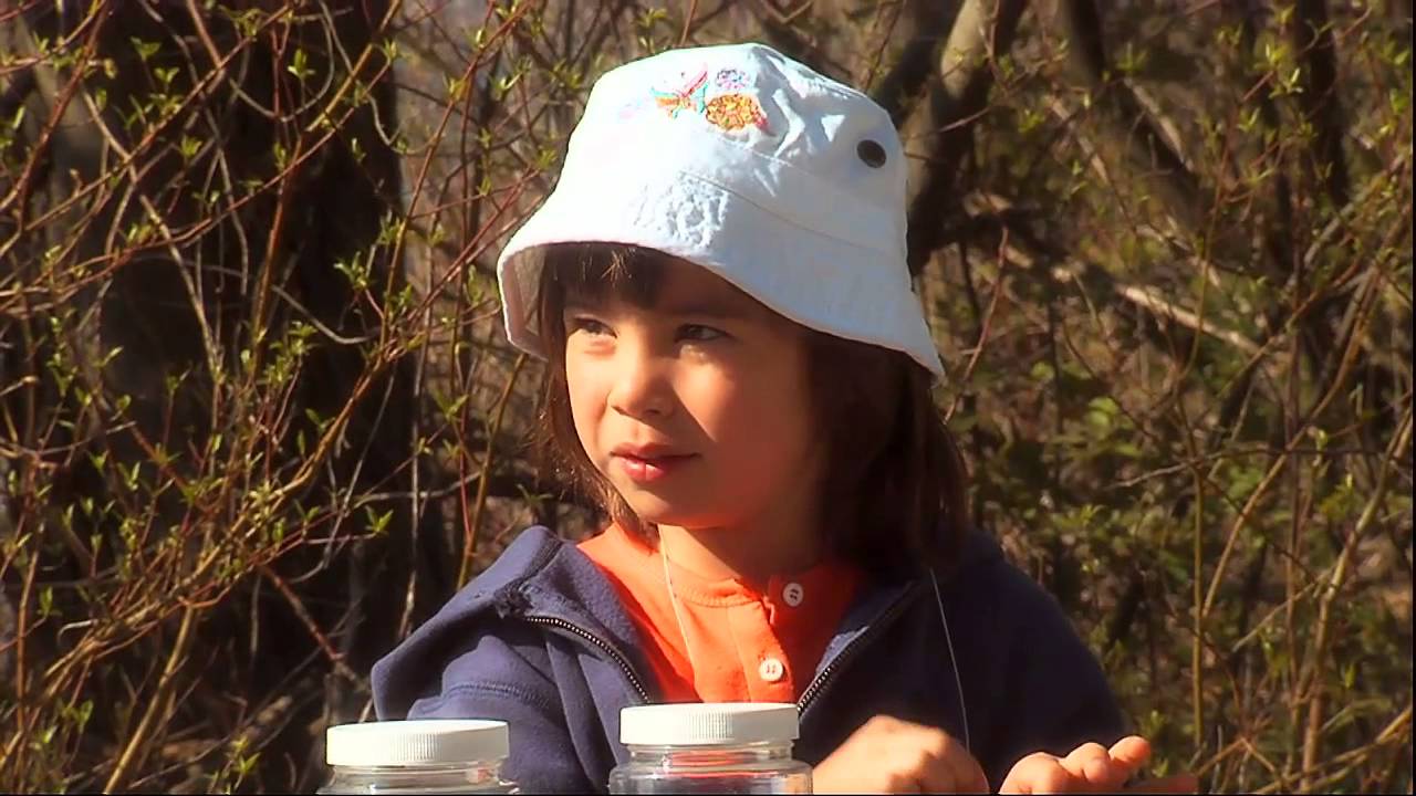 This Is Emily Yeung Exploring The Forest Youtube