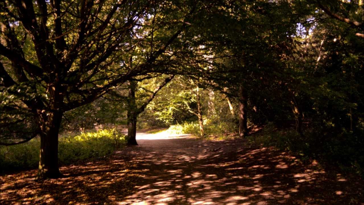 Nikon D7000 Pictures Youtube