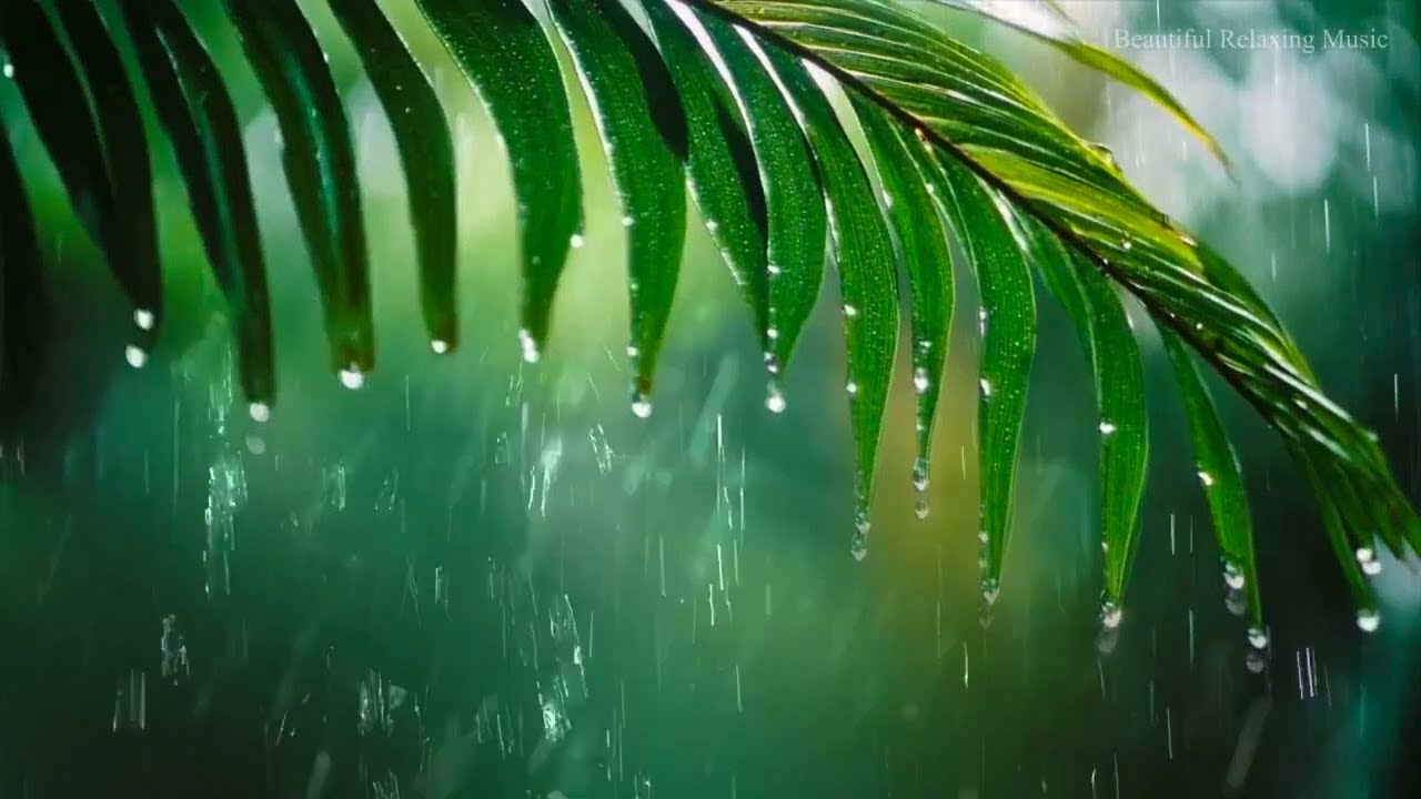 Fall Asleep In Less Than 3 Minutes Healing Of Stress Anxiety And