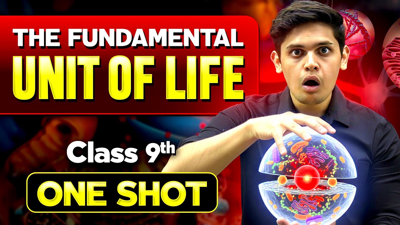 The Fundamental Unit Of Life Complete Chapterрџ ґ Class 9th Science
