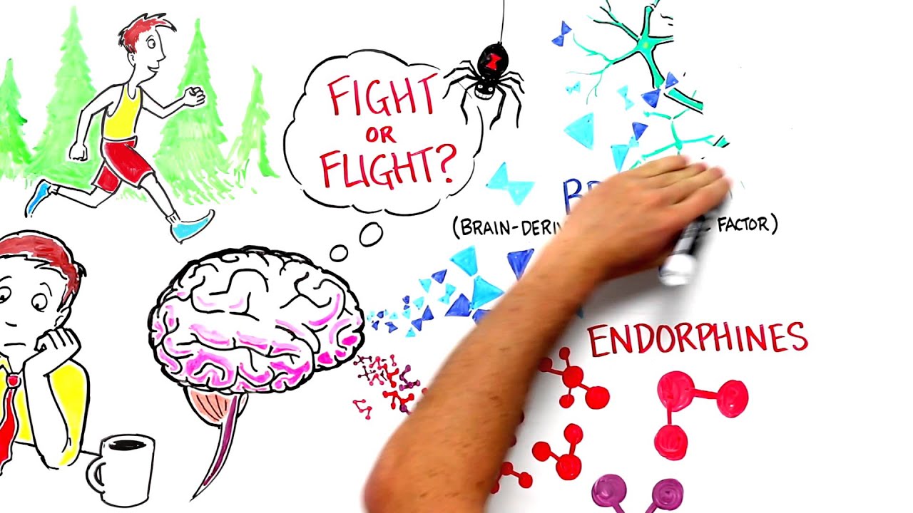 Morning Exercise Mental Health Youtube