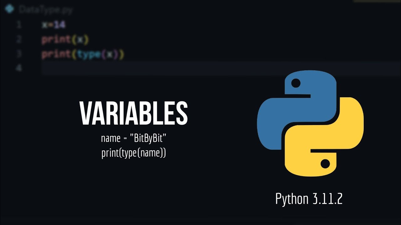 Python Tutorial 3 Variables And Data Type Youtube