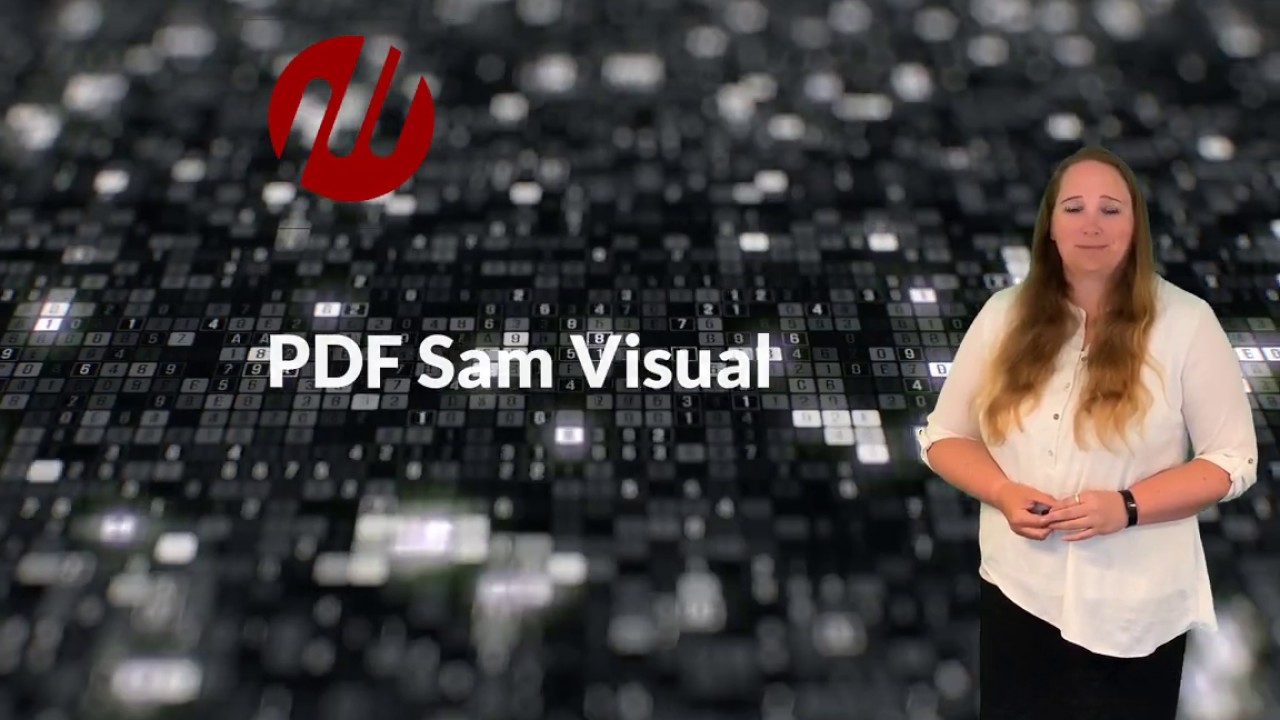 Pdf Sam Visual Pdf Dateien Effektiv Trennen Und Bearbeiten Youtube