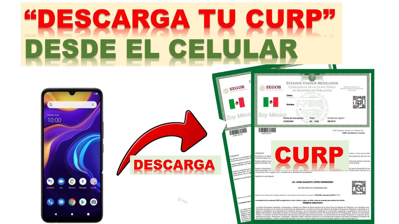 Como Imprimir La Curp Por Internet Gratis Noticiero Panorama