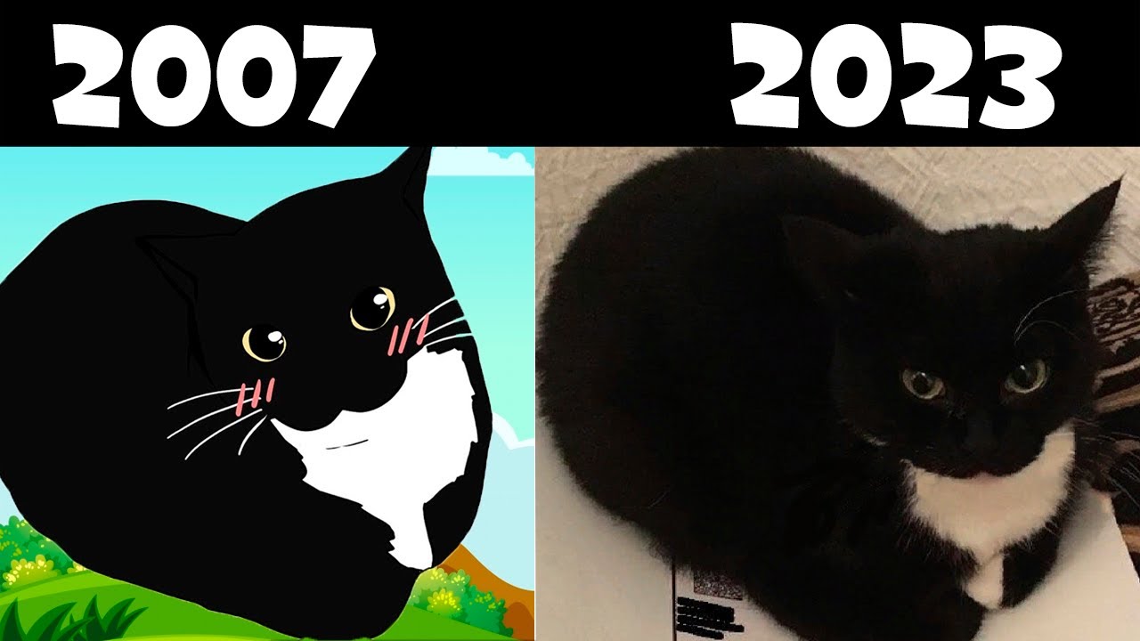 Evolution Of Maxwell The Cat Youtube