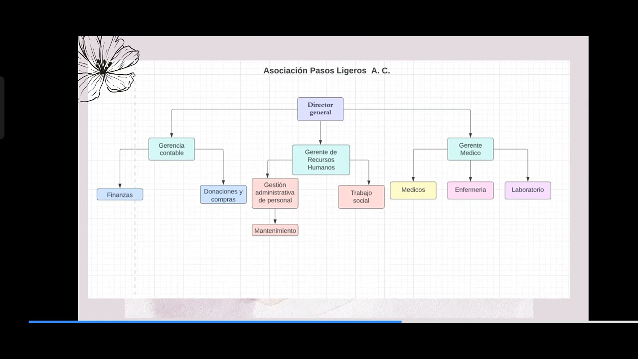 Manual De Procedimientos De Brigada De Apoyo Social