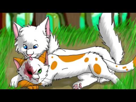 Warrior Cats Cloudtail X Brightheart Youtube