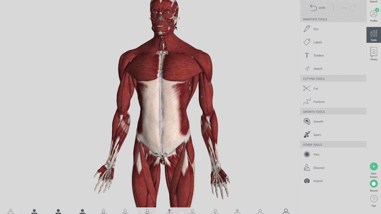 Complete Anatomy Youtube