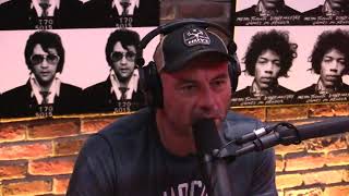 Joe Rogan On Roid Jones Jr S Sudden Decline Ogboxing Mp3 Music & Mp4 ...