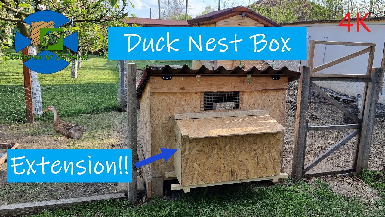 How To Make A Duck Nest Box Construction Youtube