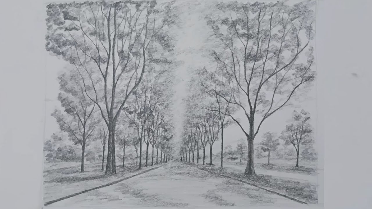 Dibujo A Lápiz De árboles En Perspectiva 1 Punto De Fuga Youtube