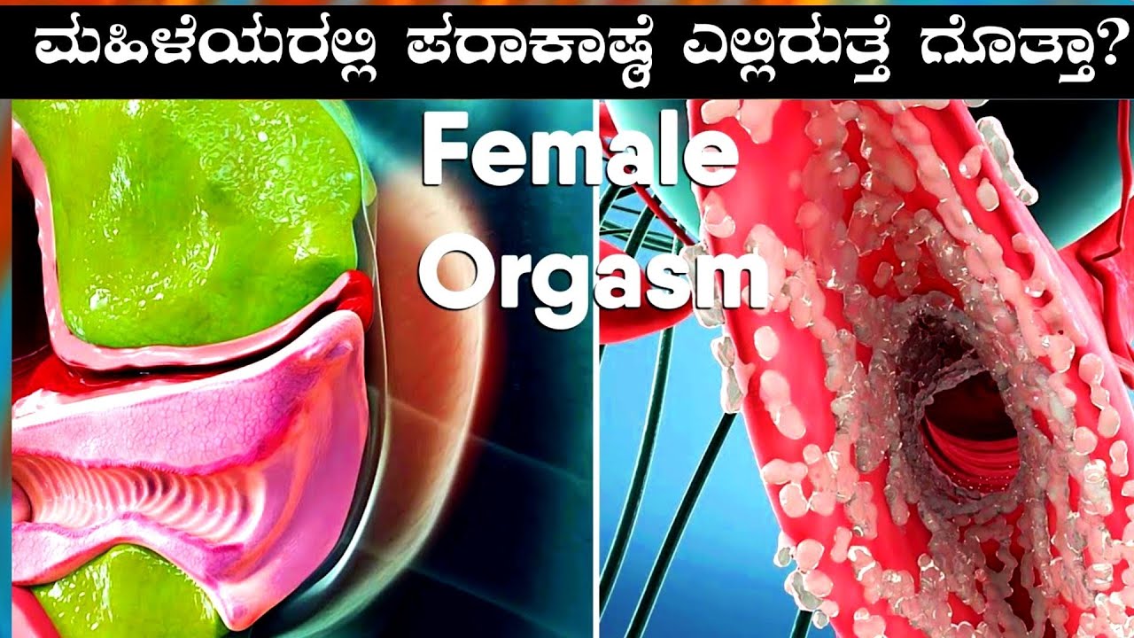 Biology Of Female Orgasm Do You Know How Orgasm Is In Females