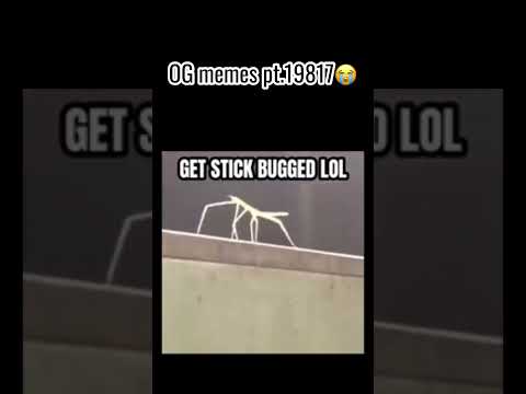 Stick Bug Meme Youtube