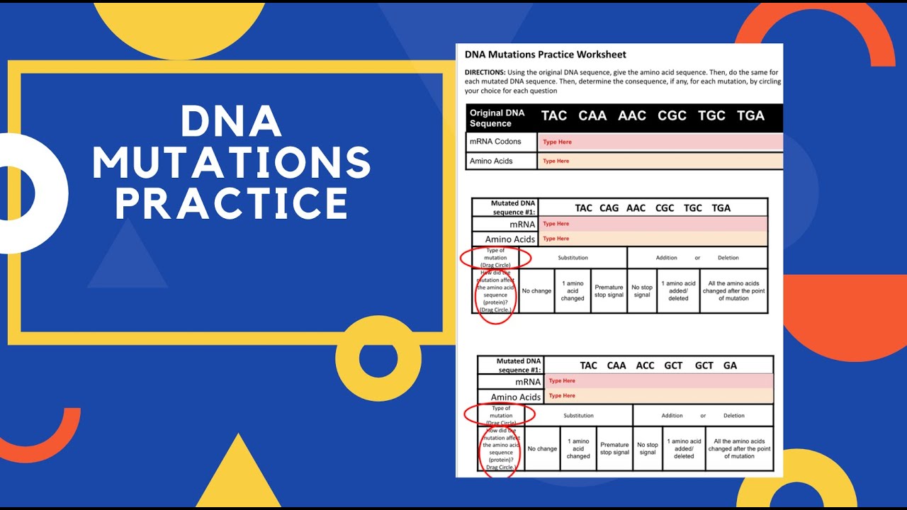Dna Mutations Practice Worksheet Proworksheet