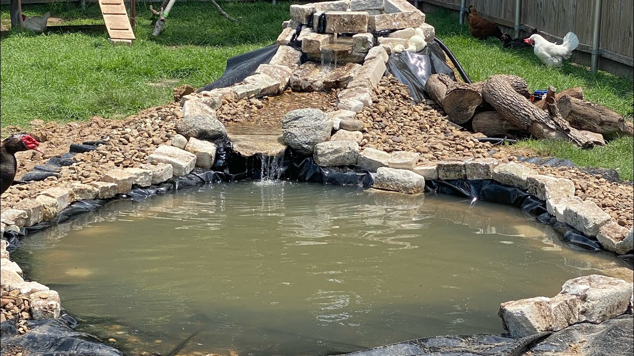 How To Build A Small Pond For Ducks Ultimate Guide