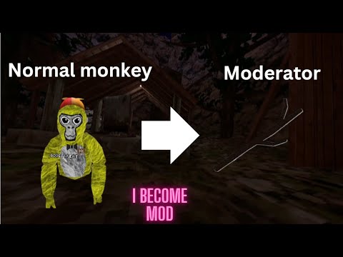 I Became A Moderator In Gorilla Tag Youtube