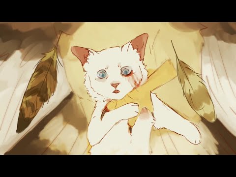 Snowkit Youtube