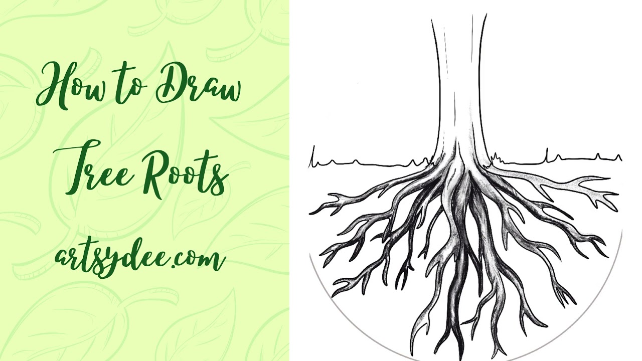 Simple Tree Drawing With Roots Isolated Tree Roots Black And White