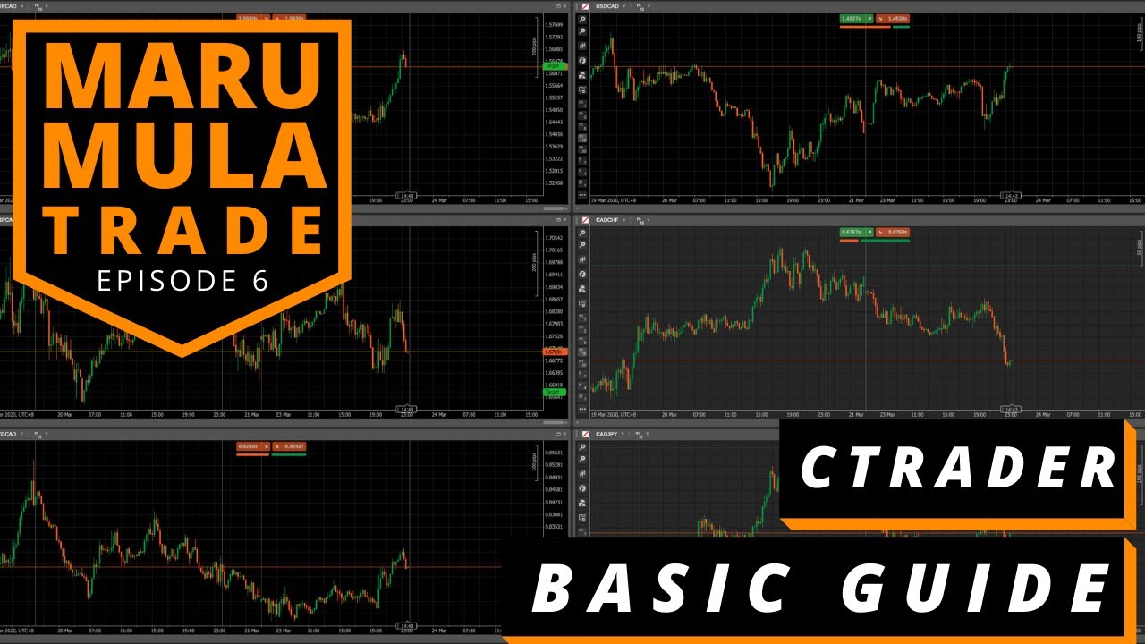 Ep 6 Panduan Basic Ctrader Youtube