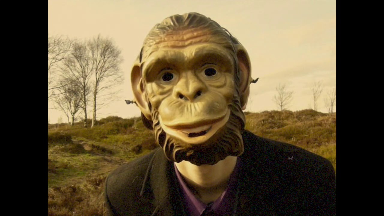 Monkey Youtube