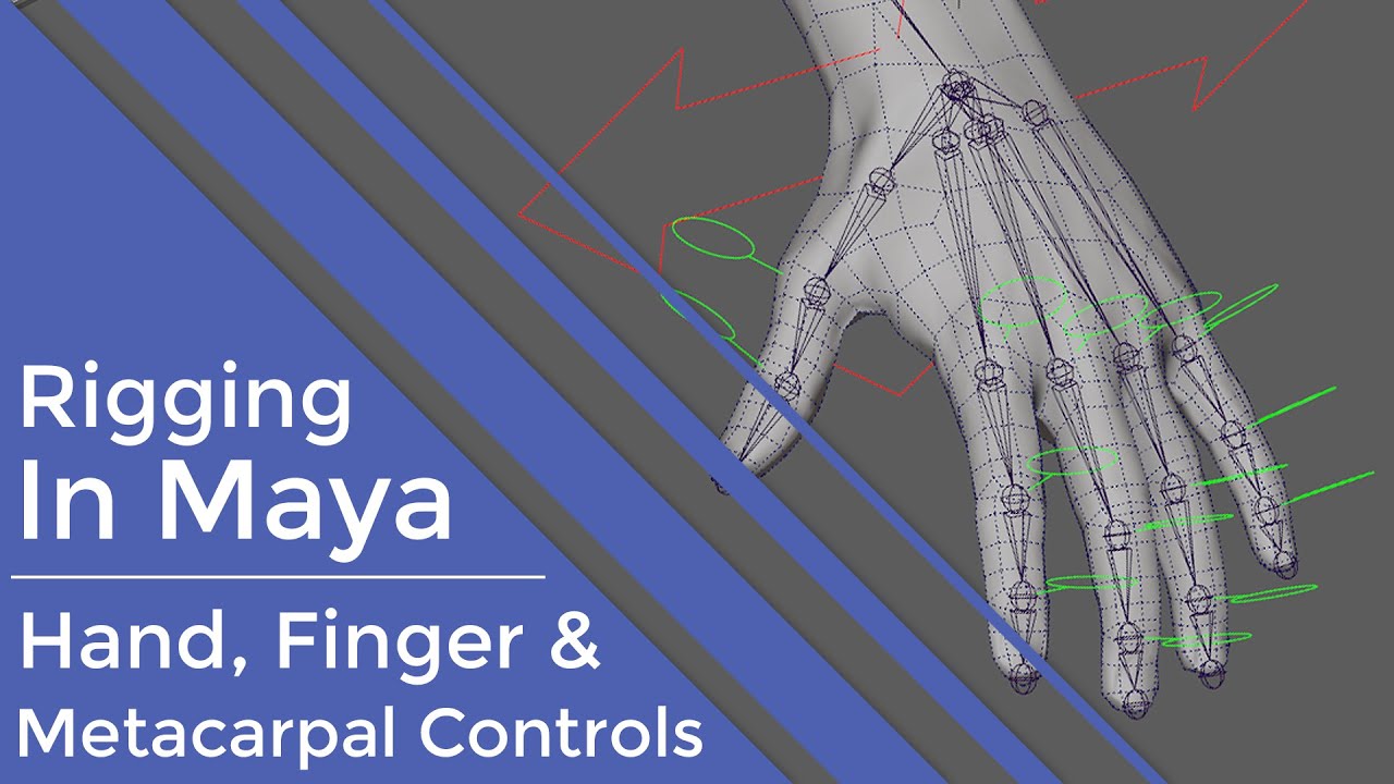 Rigginginmaya Part 6 Basics Hand Rigging Youtube