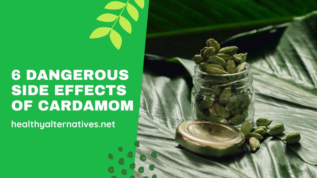 6 Dangerous Side Effects Of Cardamom Youtube