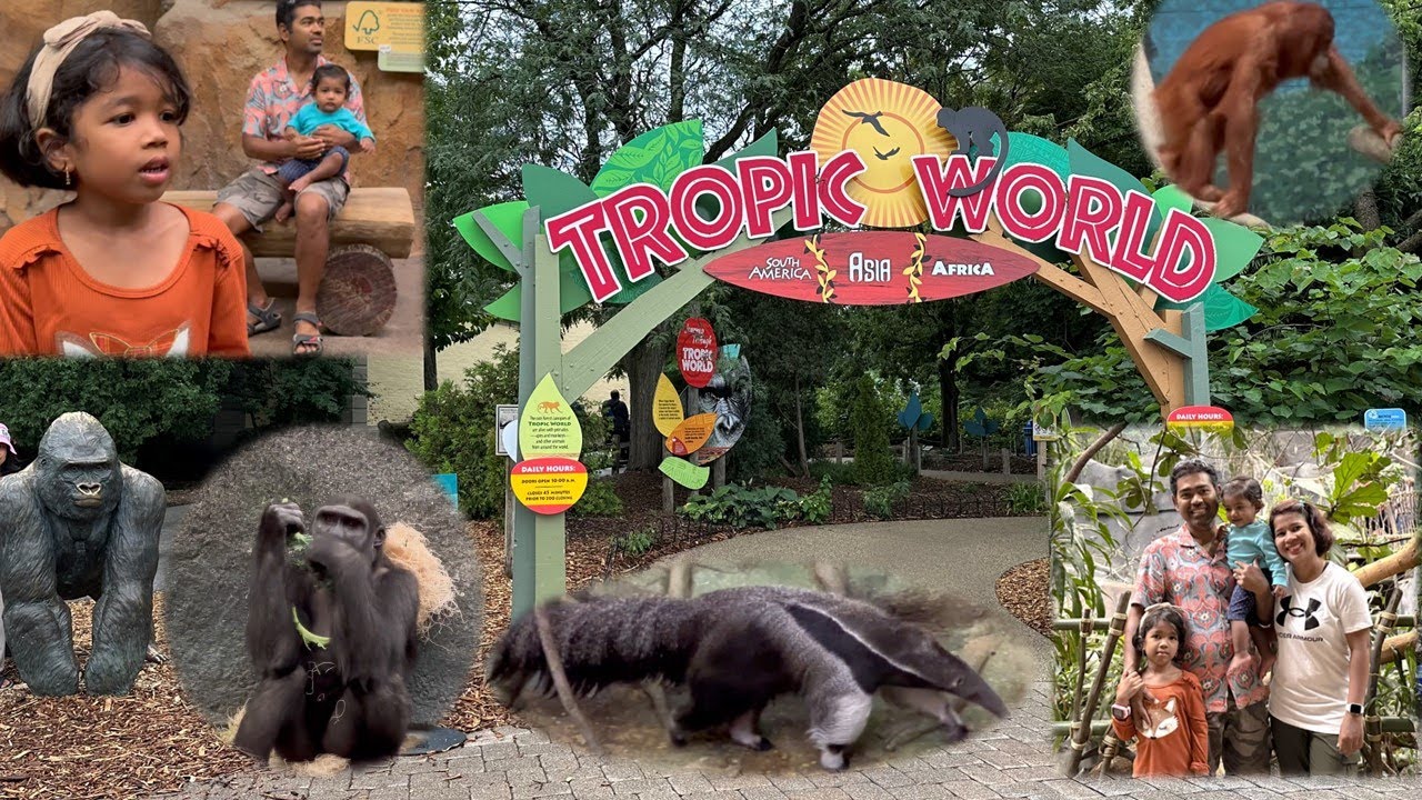 Tropic World South America Asia Africa At Brookfield Zoo Chicago
