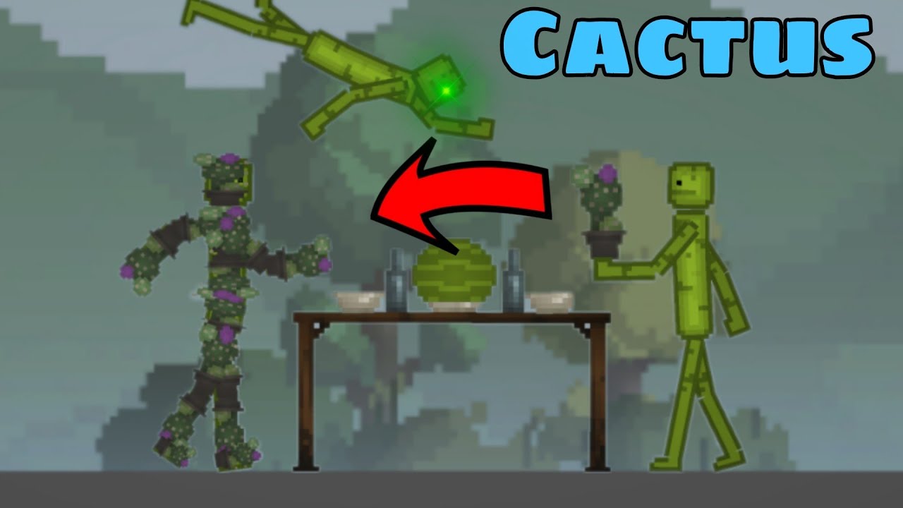 Melon Playground Cactus At Joyce Haynes Blog