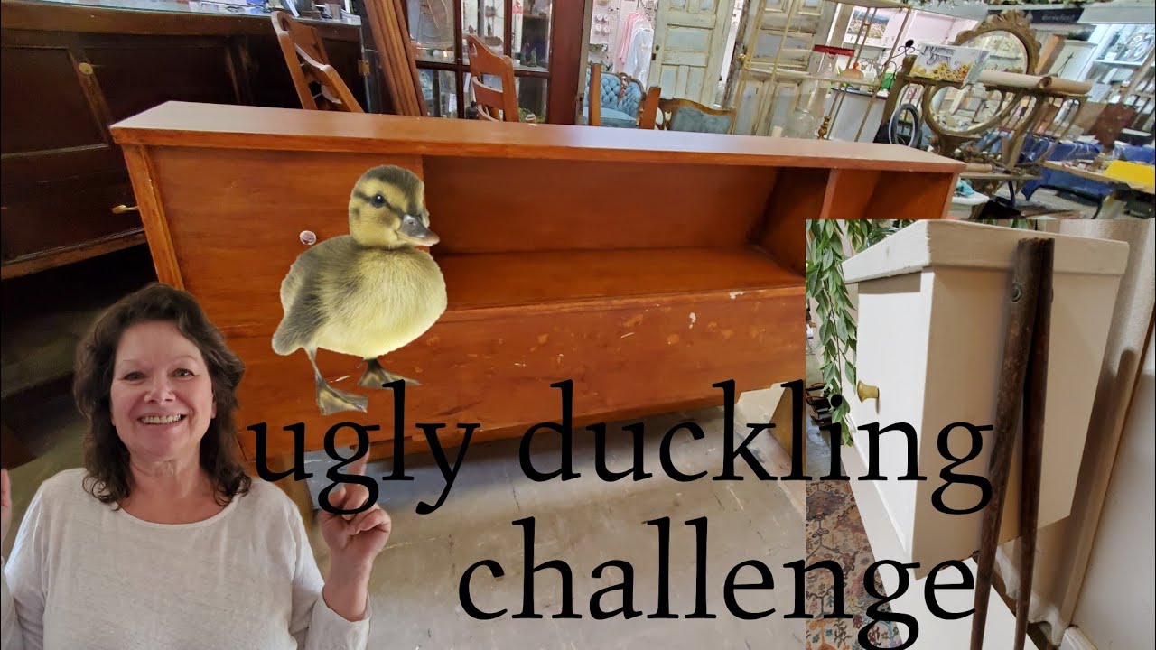 Ugly Duckling Challenge Youtube