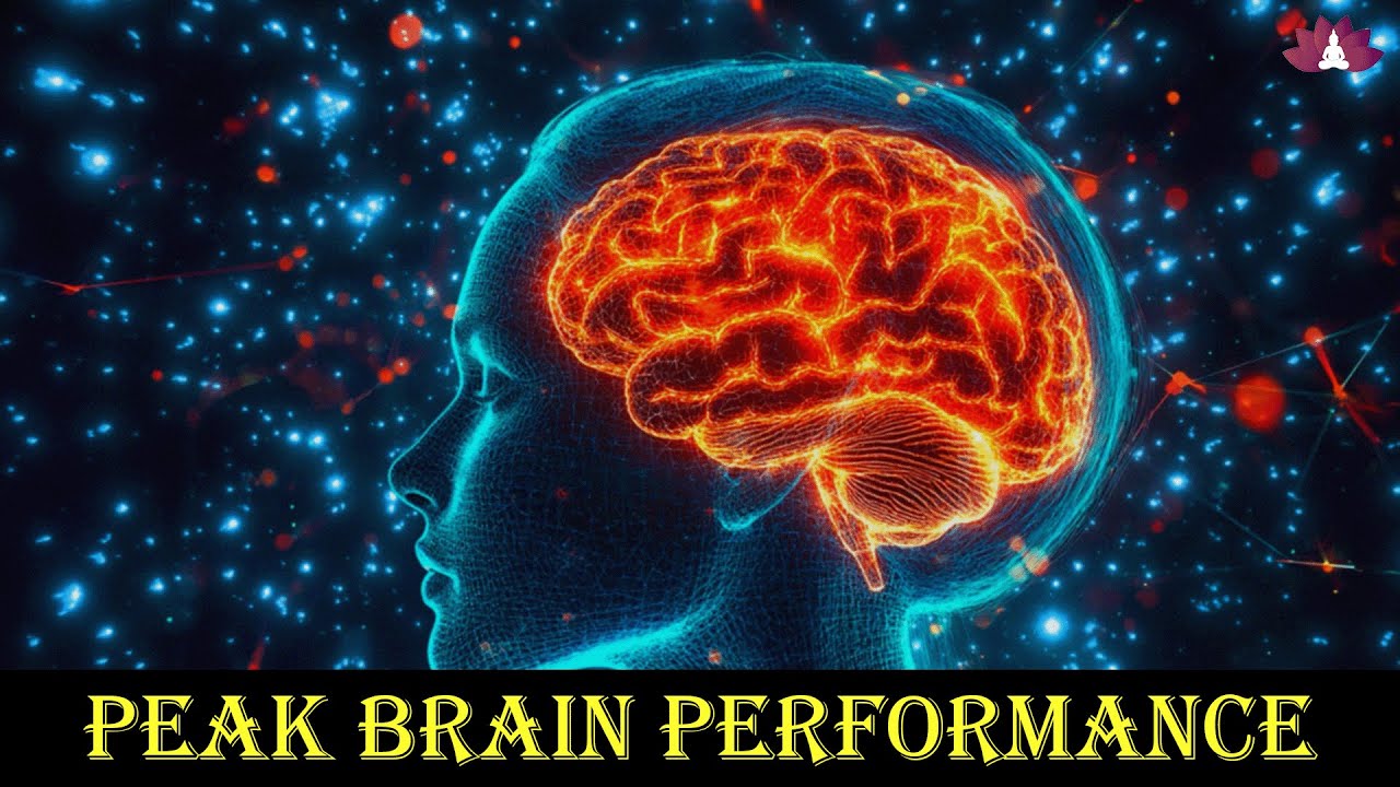Rewire Your Brain For Success ёяза Peak Brain Performance Boost Focus