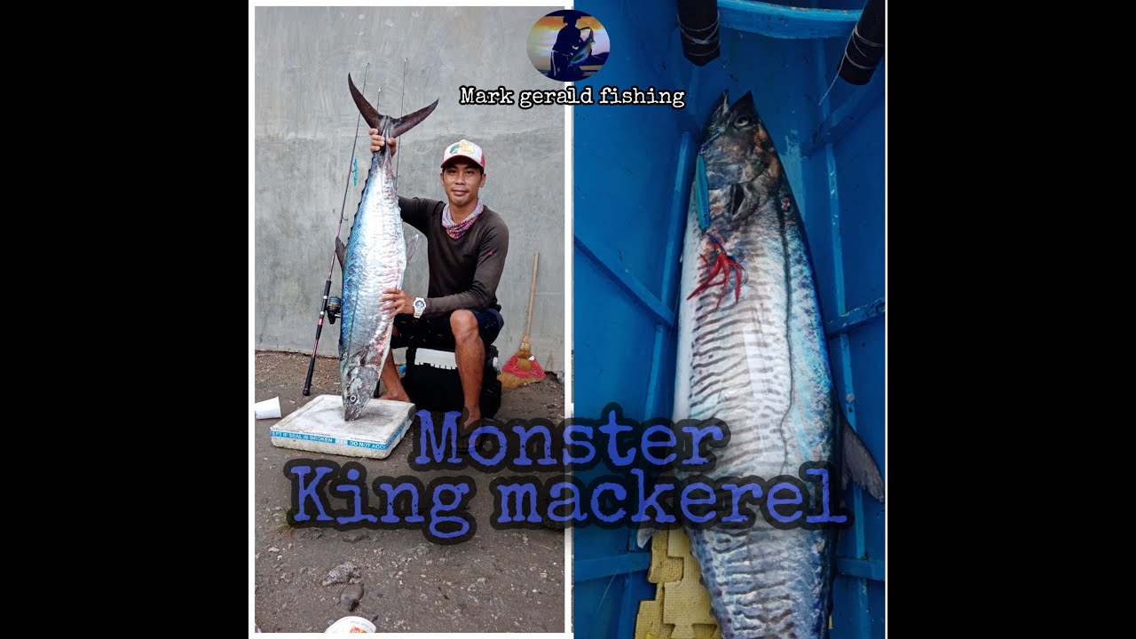 Monster King Mackerel Vertical Jigging Lobo Batangas Youtube