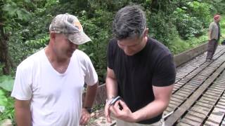 Morphos Diurnal Insect Collecting Central America Day 2 Christopher ...