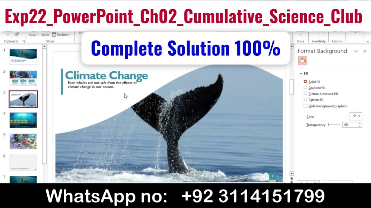 Exp22 Powerpoint Ch02 Cumulative Science Club Exp22 Powerpoint