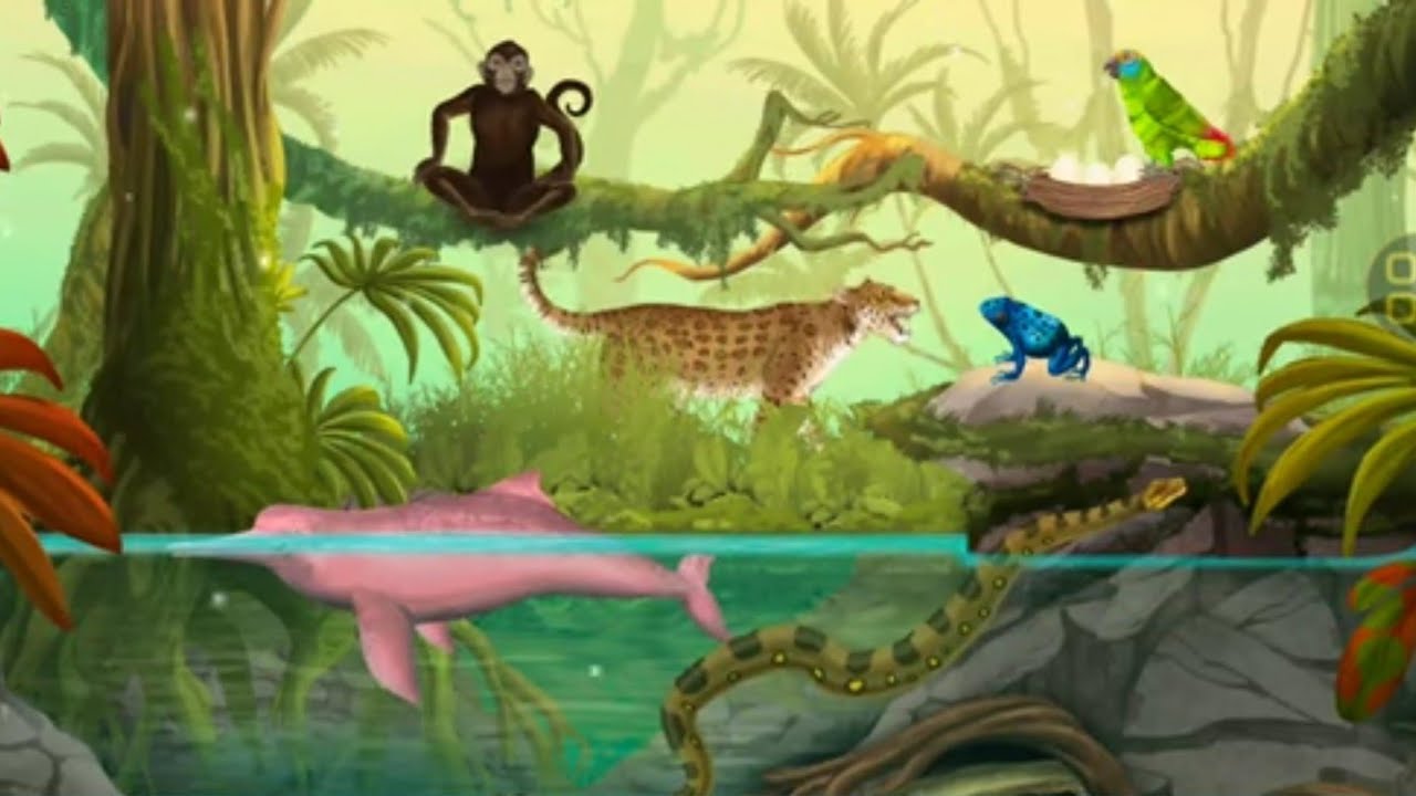 Learning Animals Youtube