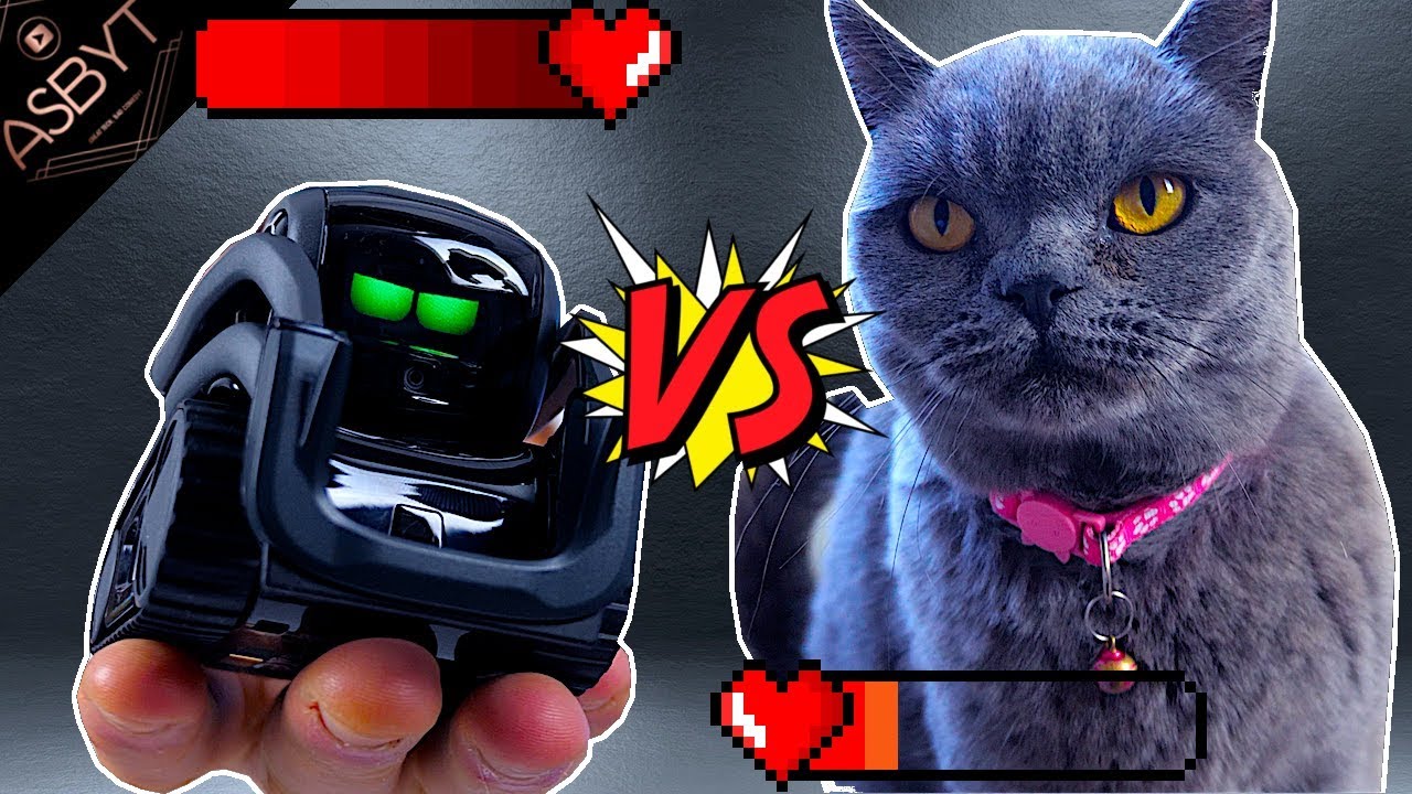 Anki Vector Detailed Review Youtube