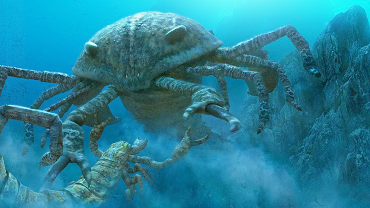 Most Terrifying Sea Creatures At Clair Azevedo Blog