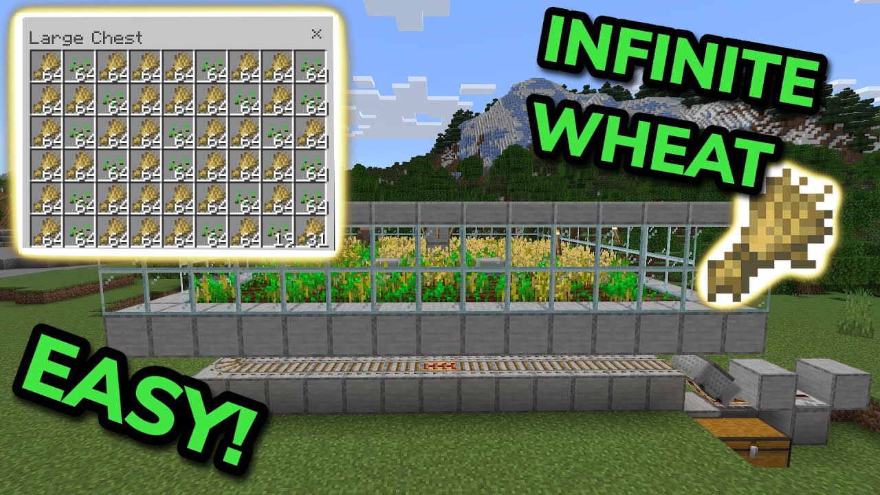How To Make A Auto Wheat Farm